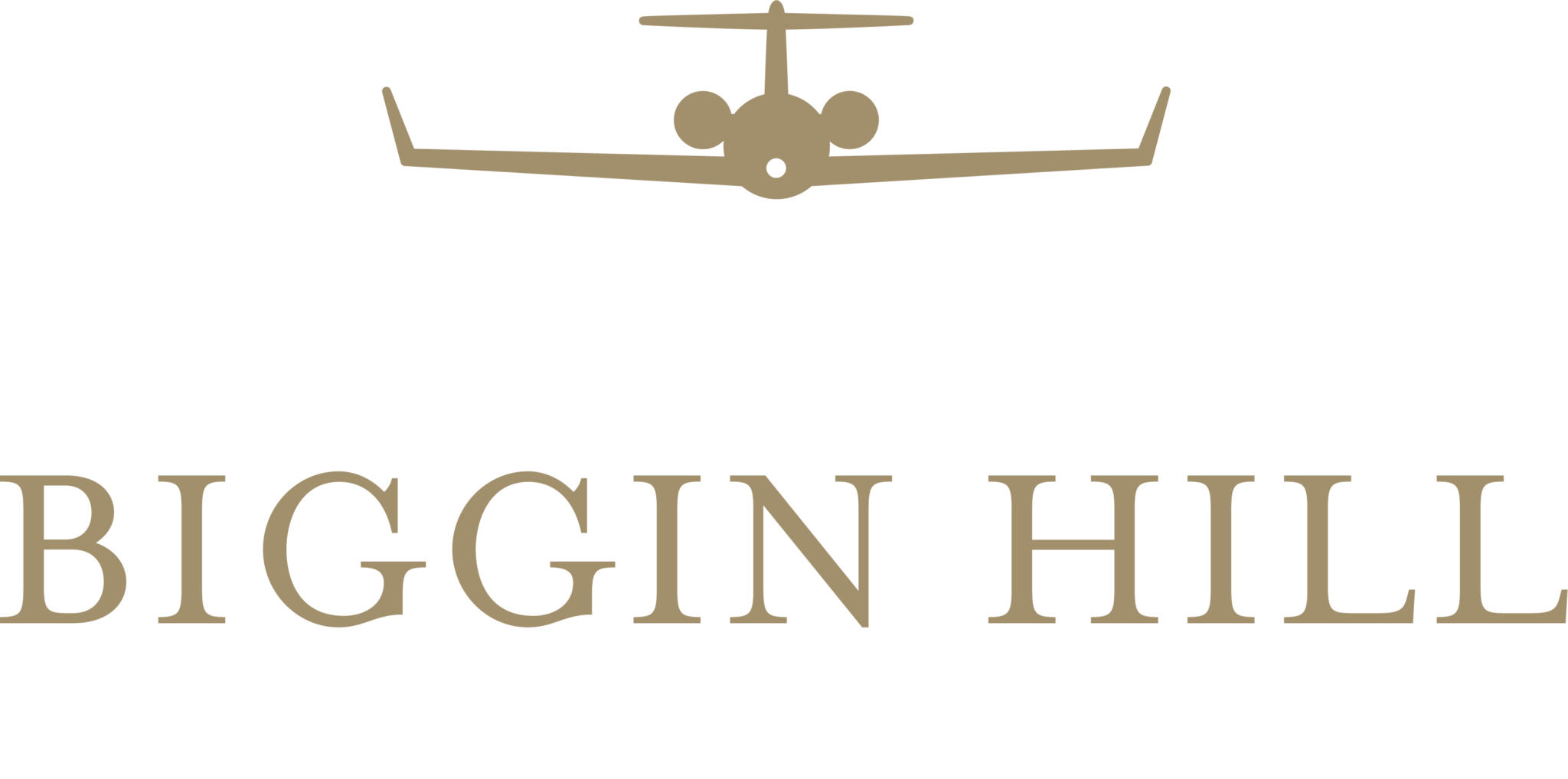 London Biggin Hill Airport - The Landing